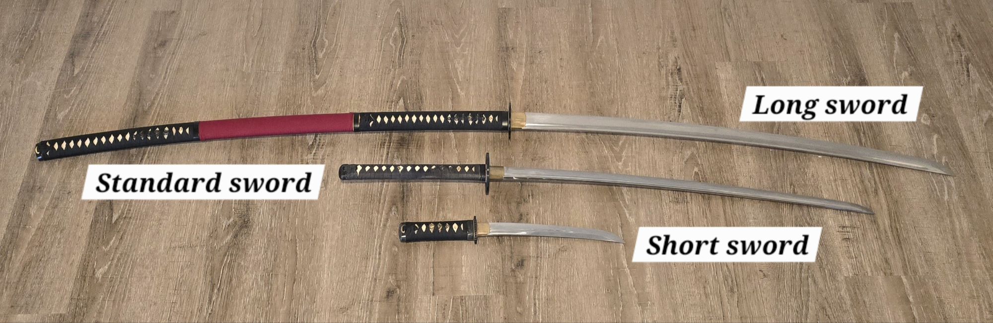 Kenjutsu through 3 different swords – Light in the Clouds